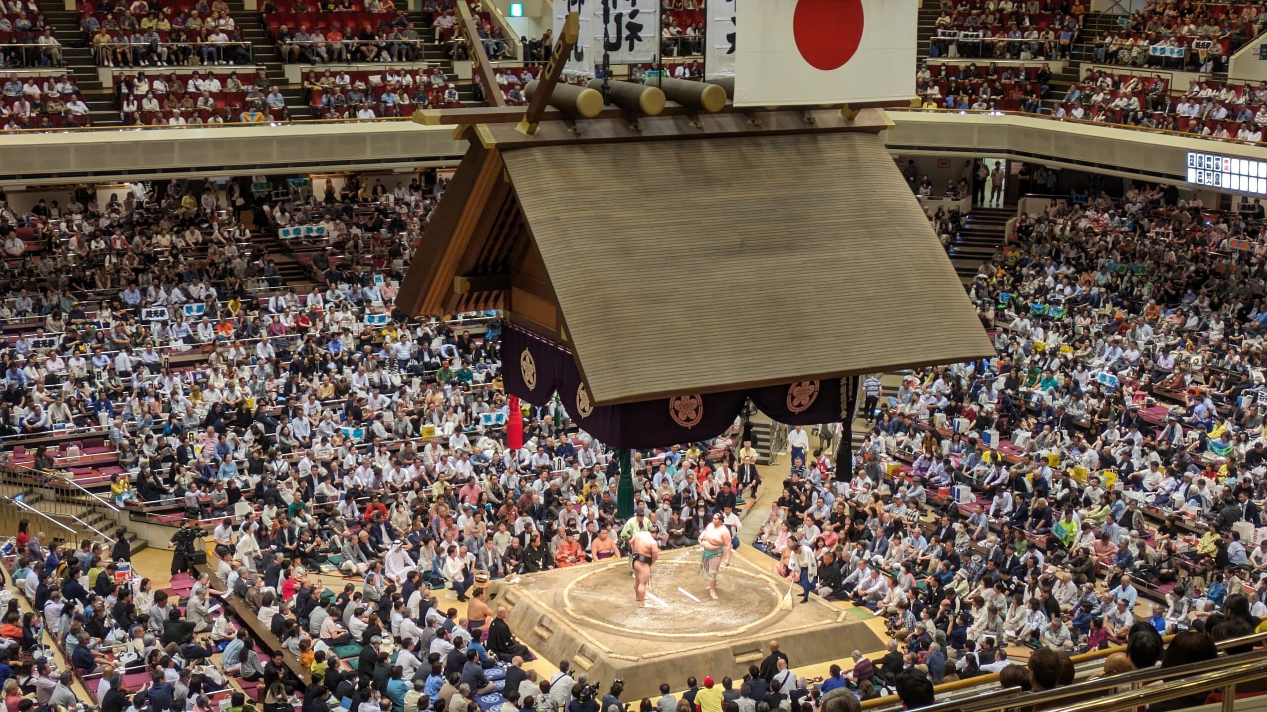 Homepage - Sumo Tours